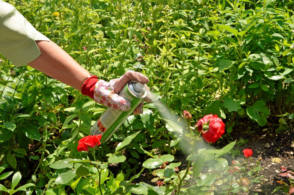 Blattläuse bekämpfen » das hilft gegen Blattläusebefall im Garten!